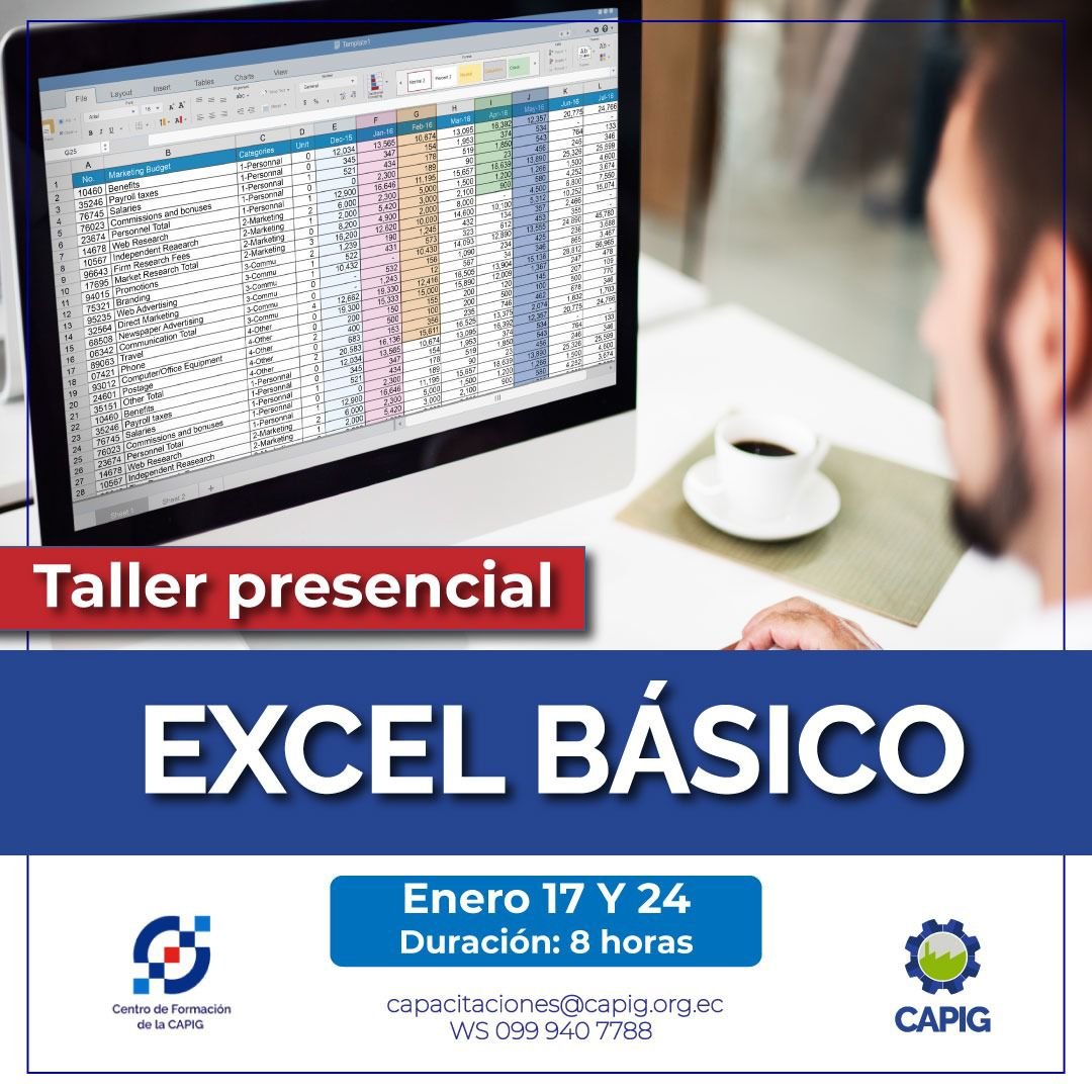 Programa Presencial de Excel: Módulo Básico - Capig